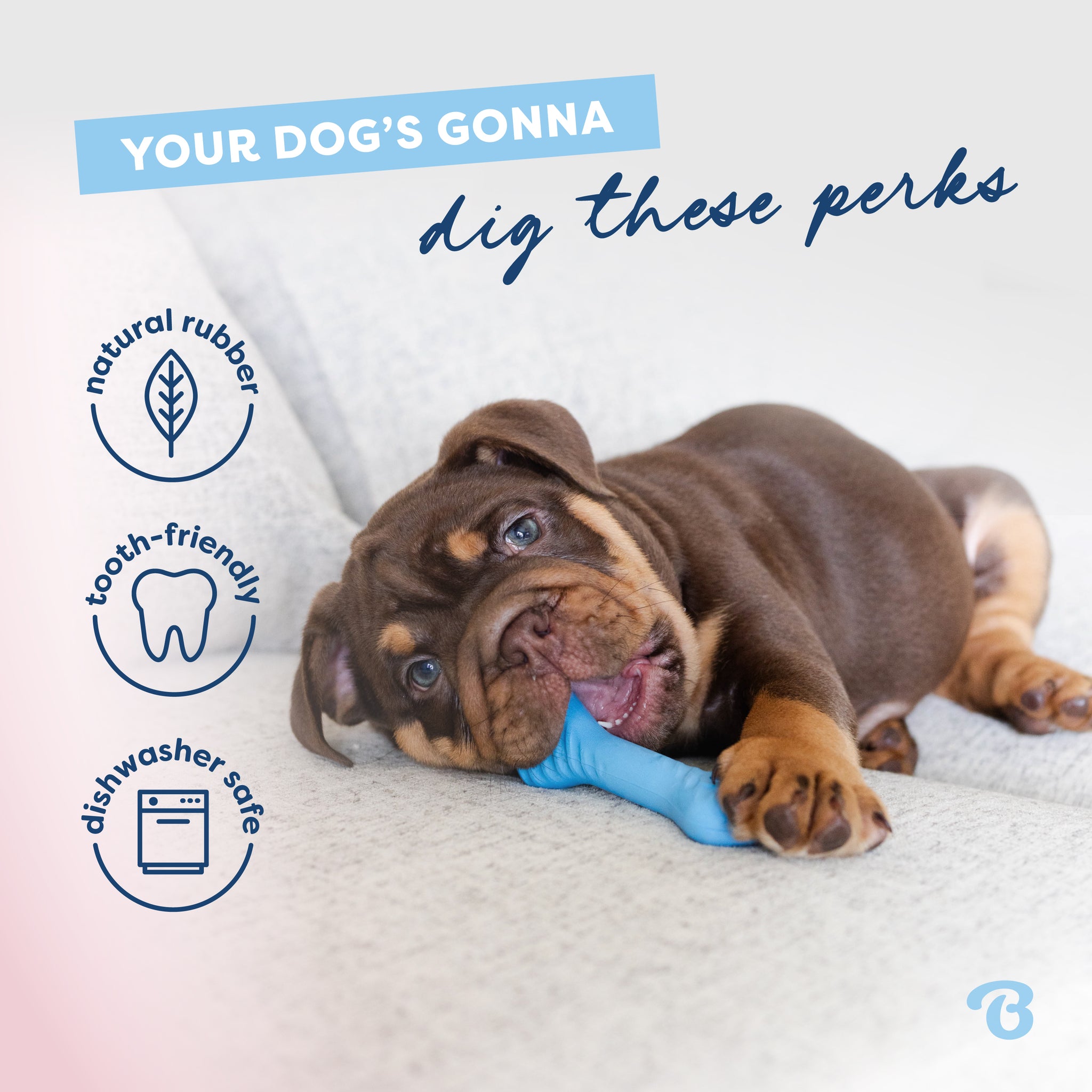 Puppy Bone | Benebone: Natural Rubber Interactive Toys for Dogs