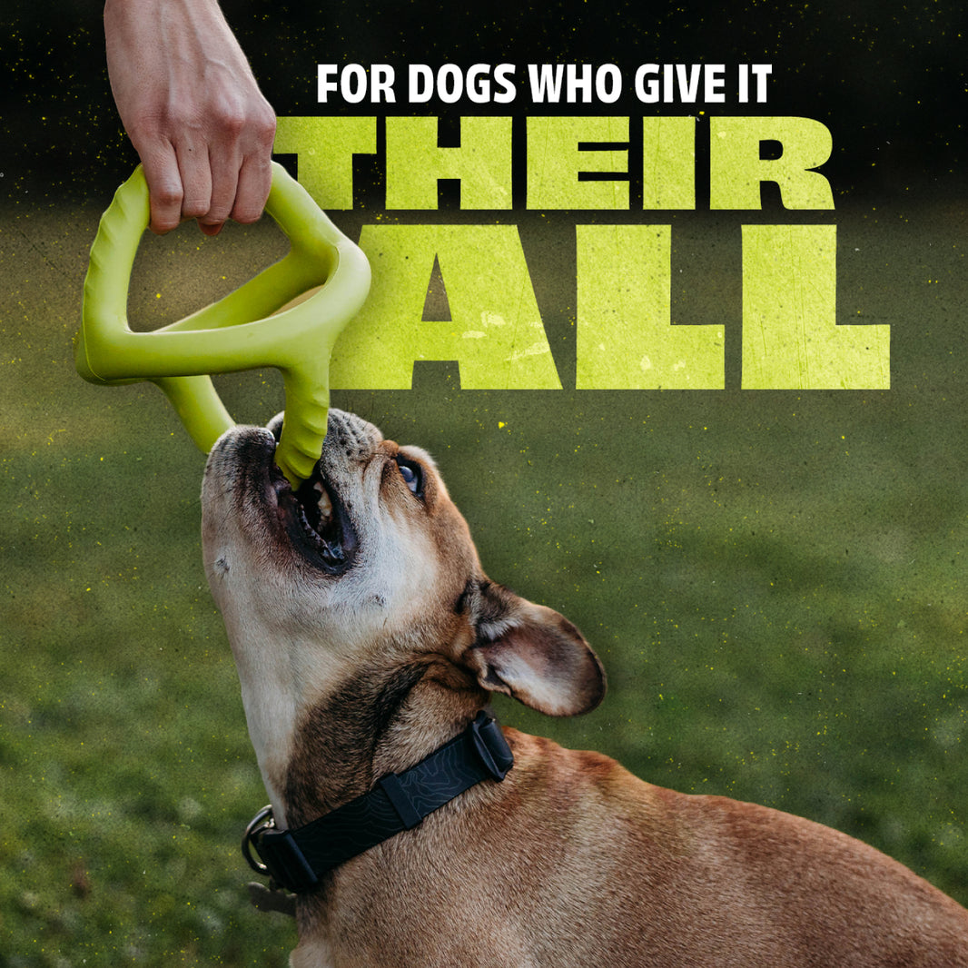 All Products | Benebone: Durable Dog Chew Toys Made in the USA ...