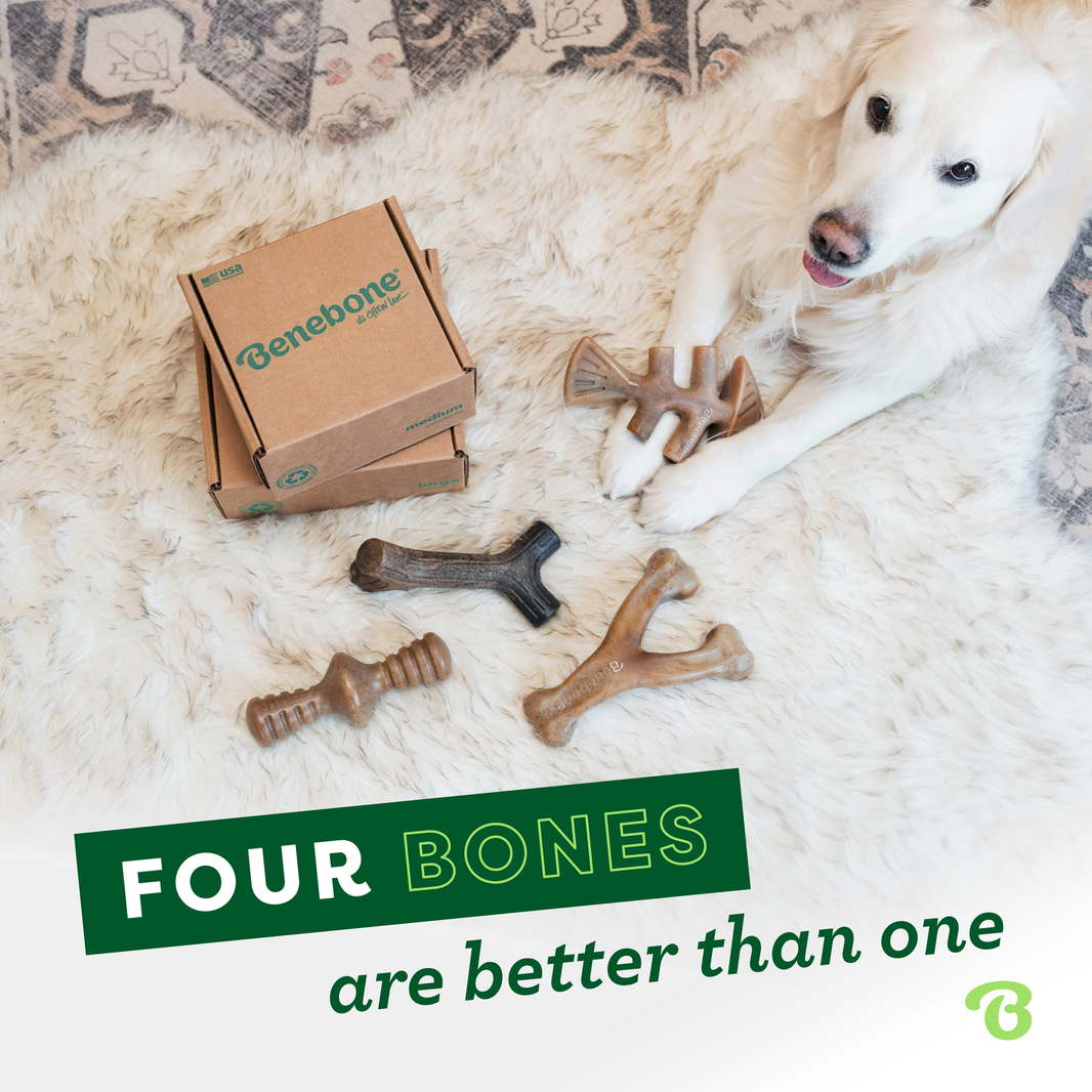 All Products | Benebone: Durable Dog Chew Toys Made in the USA ...