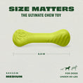 Bone | Benebone: Natural Rubber Interactive Toys for Dogs
