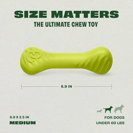Bone | Benebone: Natural Rubber Interactive Toys for Dogs