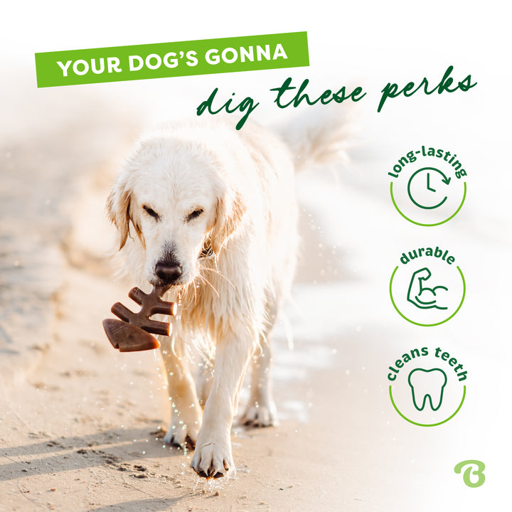 All Products | Benebone: Durable Dog Chew Toys Made in the USA ...