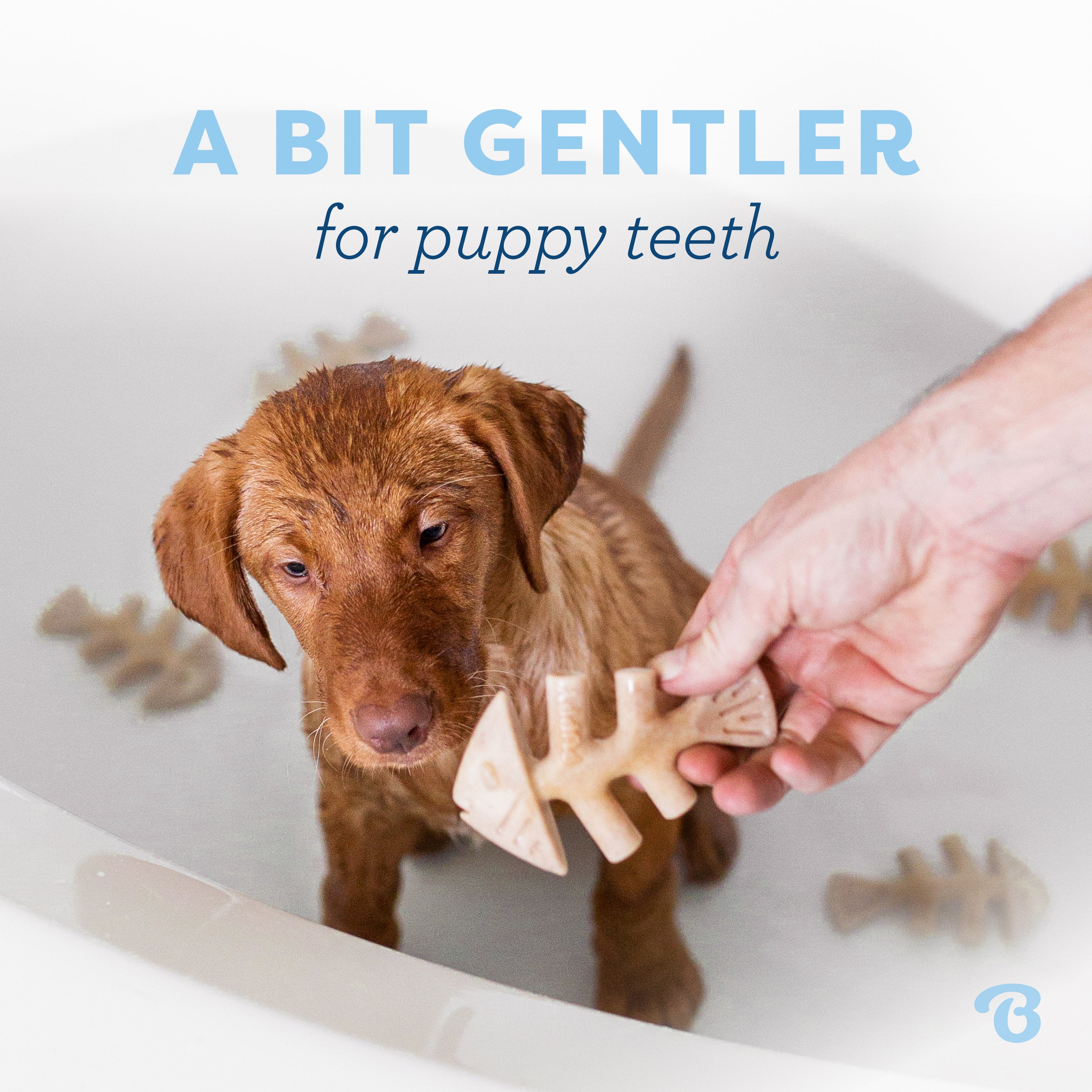 Puppy Fishbone | Benebone: Durable Dog Chew Toys Made in the USA