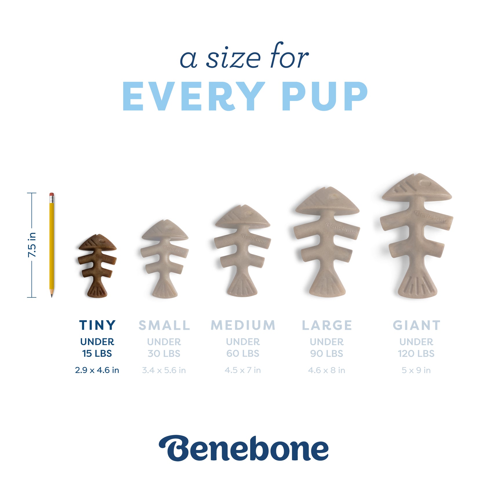 Puppy Fishbone | Benebone: Durable Dog Chew Toys Made in the USA