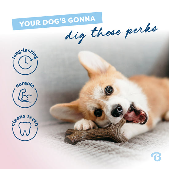 Puppy Stick | Benebone: Durable Dog Chew Toys Made in the USA