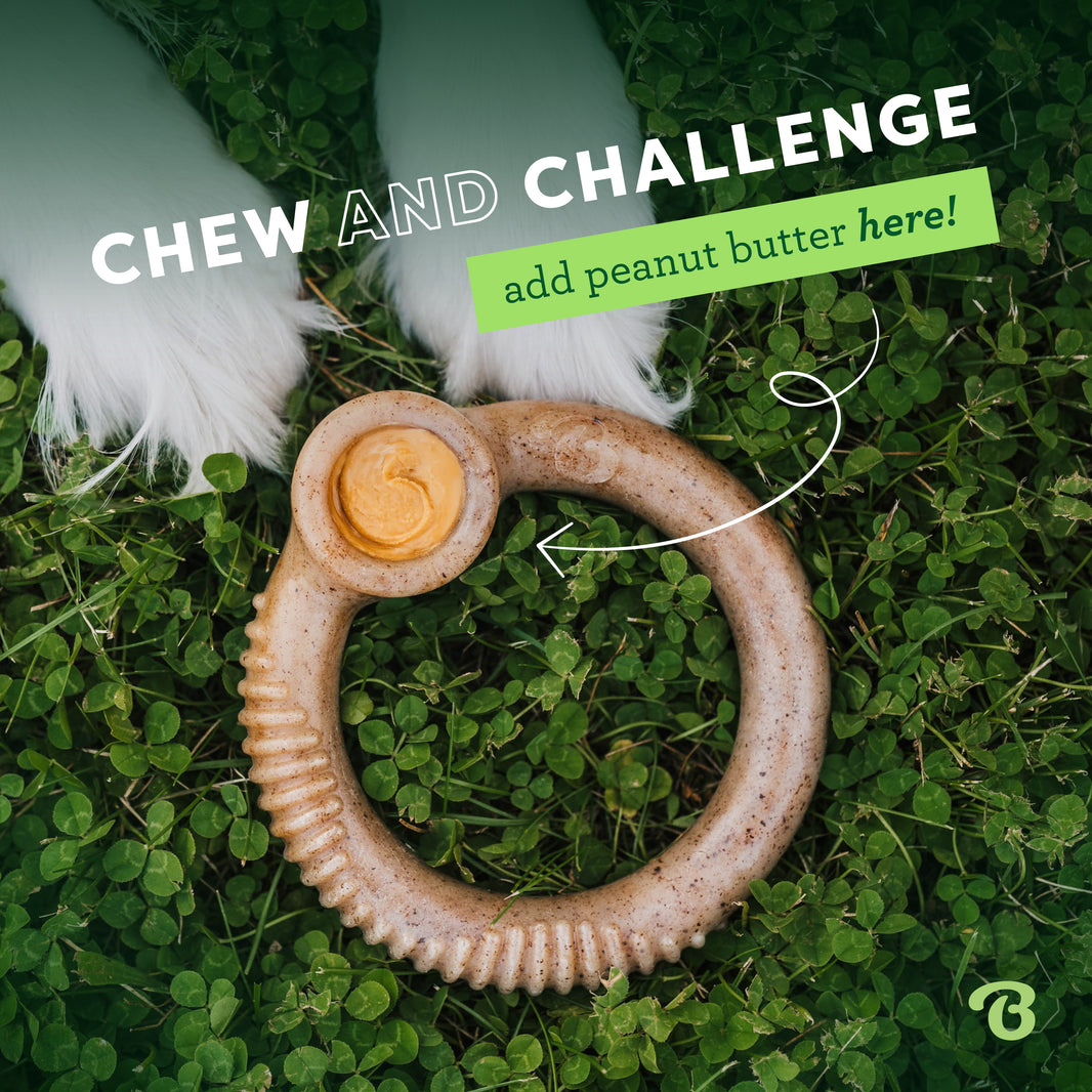 All Products | Benebone: Durable Dog Chew Toys Made in the USA ...