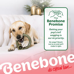 Peppermint Ring | Benebone: Durable Dog Chew Toys Made in the USA