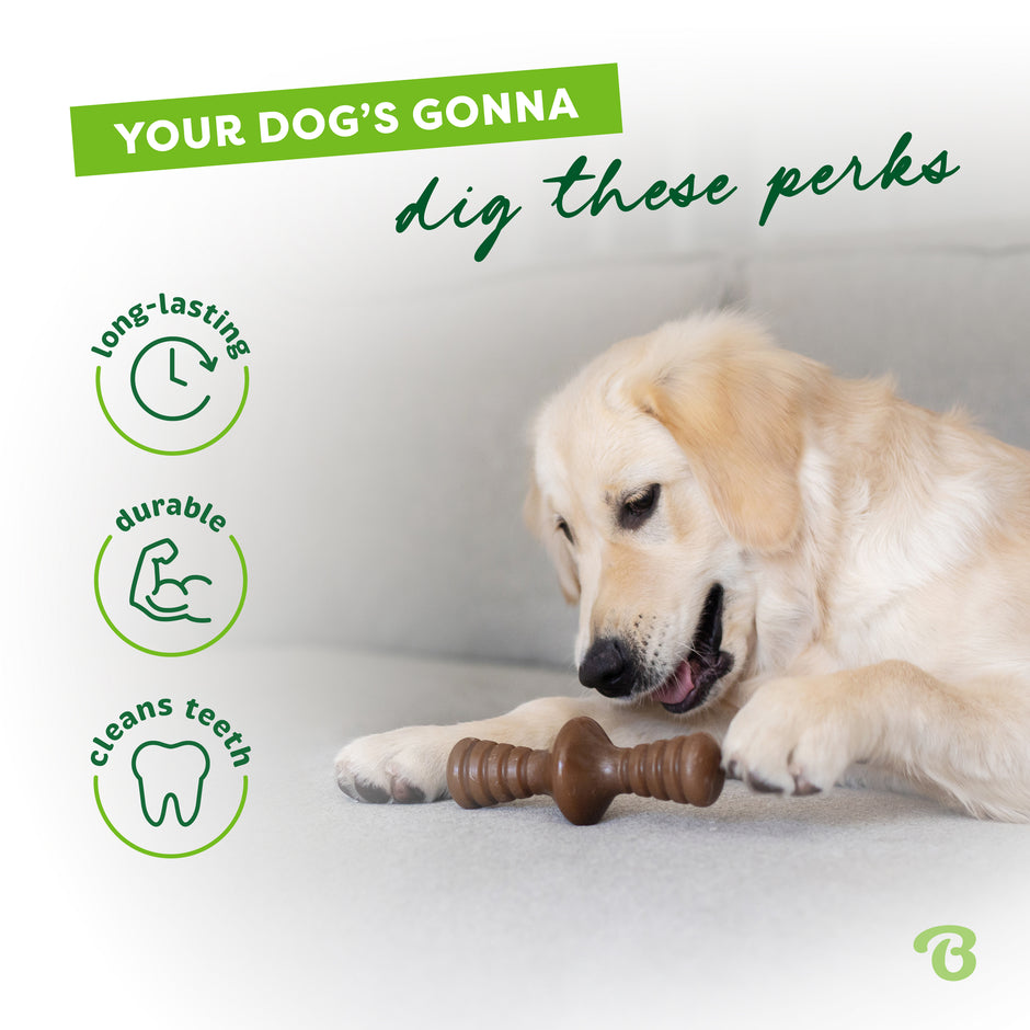 All Products | Benebone: Durable Dog Chew Toys Made in the USA ...