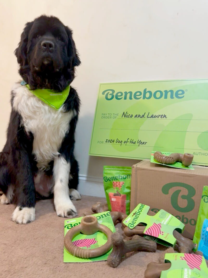 Dog of The Year Hall of Fame | Benebone: Durable Dog Chew Toys Made in ...