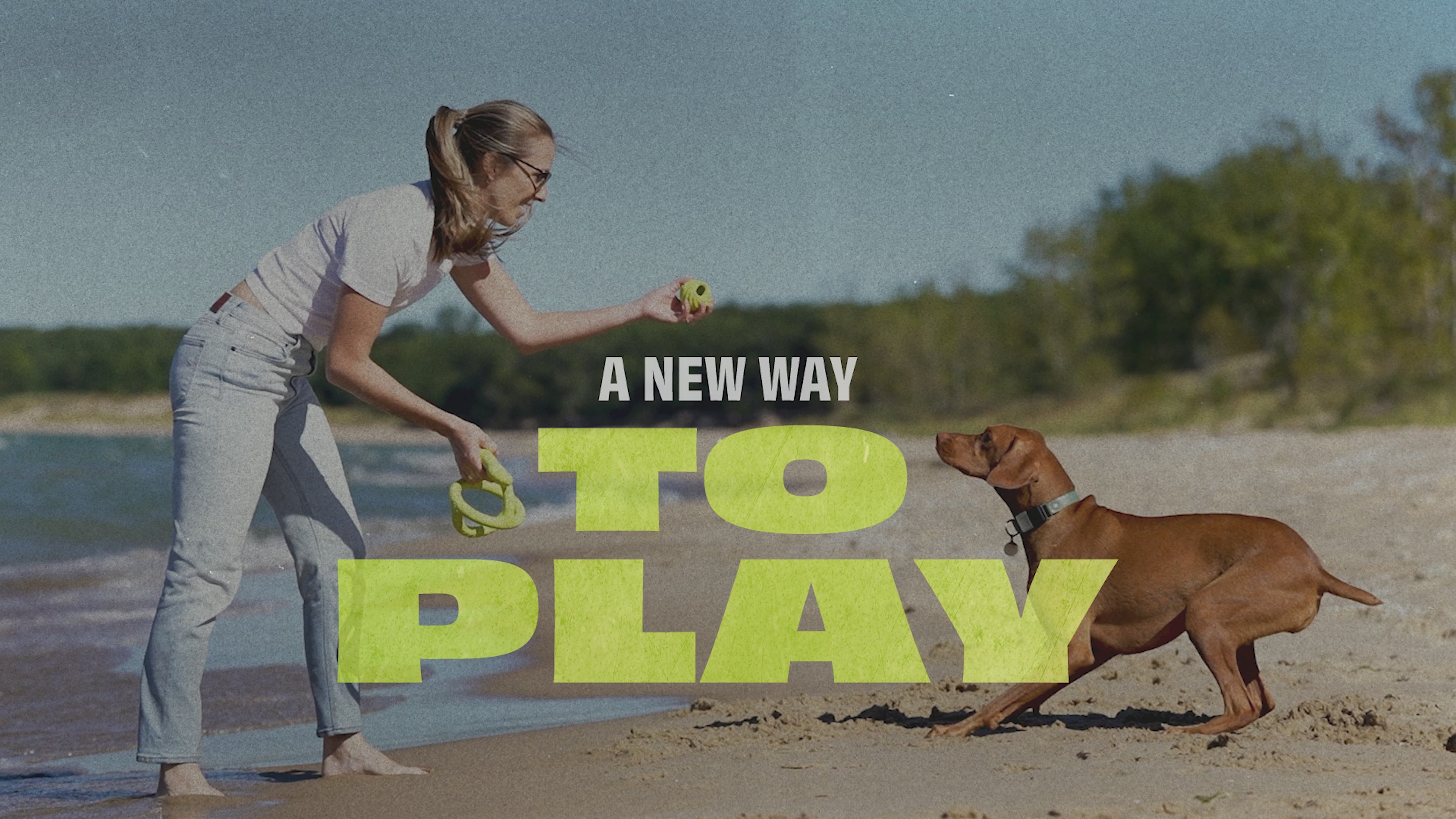 Bone | Benebone: Natural Rubber Interactive Toys for Dogs